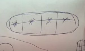 Claudio Case - Military Police Officers Chasing Luminous Beings - UAP ...